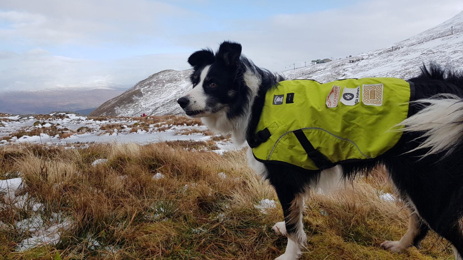 Distinguished Service Award for Tom Gilchrist - Scottish Mountain Rescue