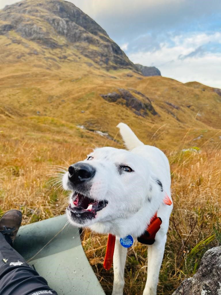 The Making of Mac - Scottish Mountain Rescue